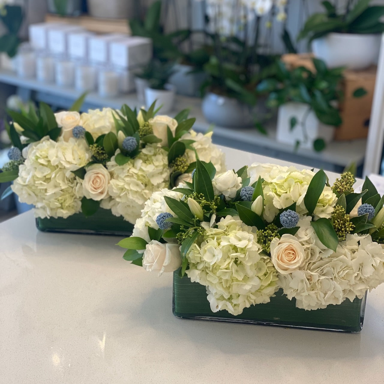 Gallery – True Flowers